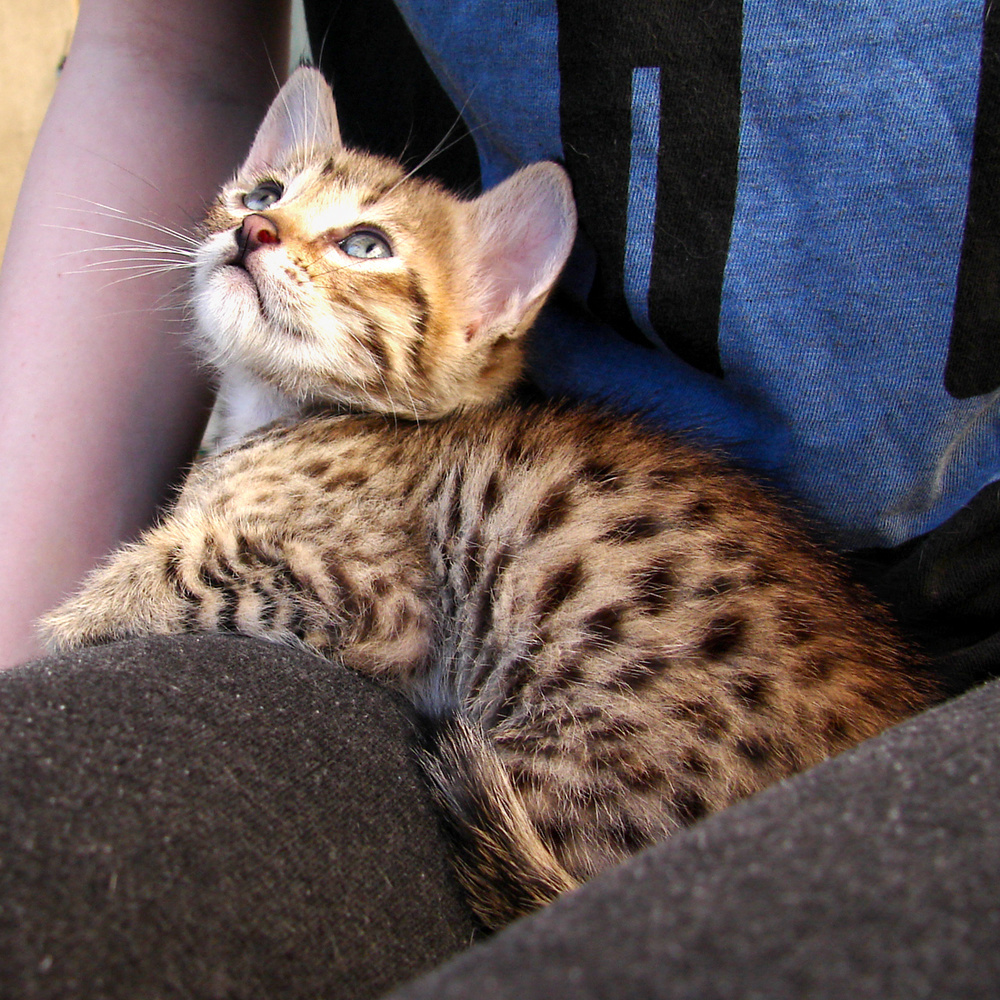 Page 1 of comments at all right then