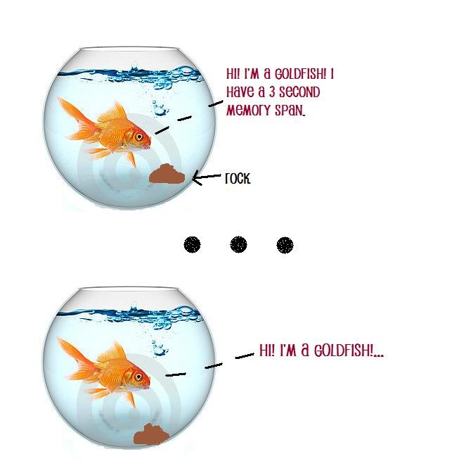Goldfish Memory Span
